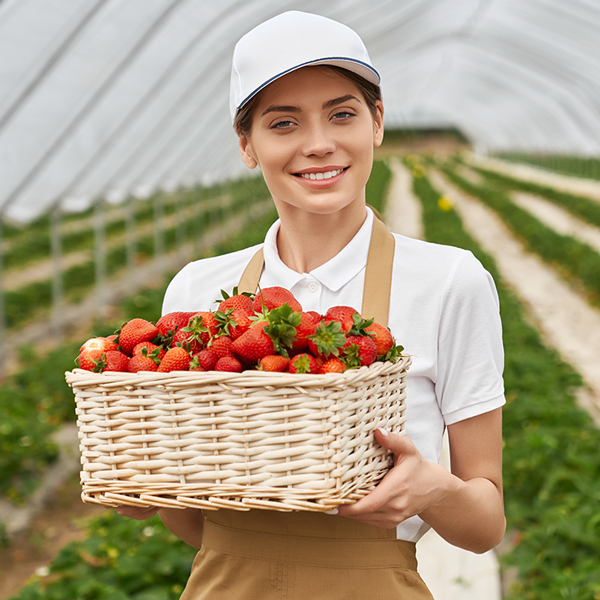 Testimonials – Afrinet Carbon Ltd