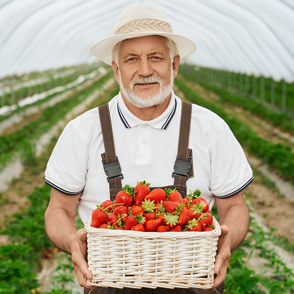 Testimonials – Afrinet Carbon Ltd